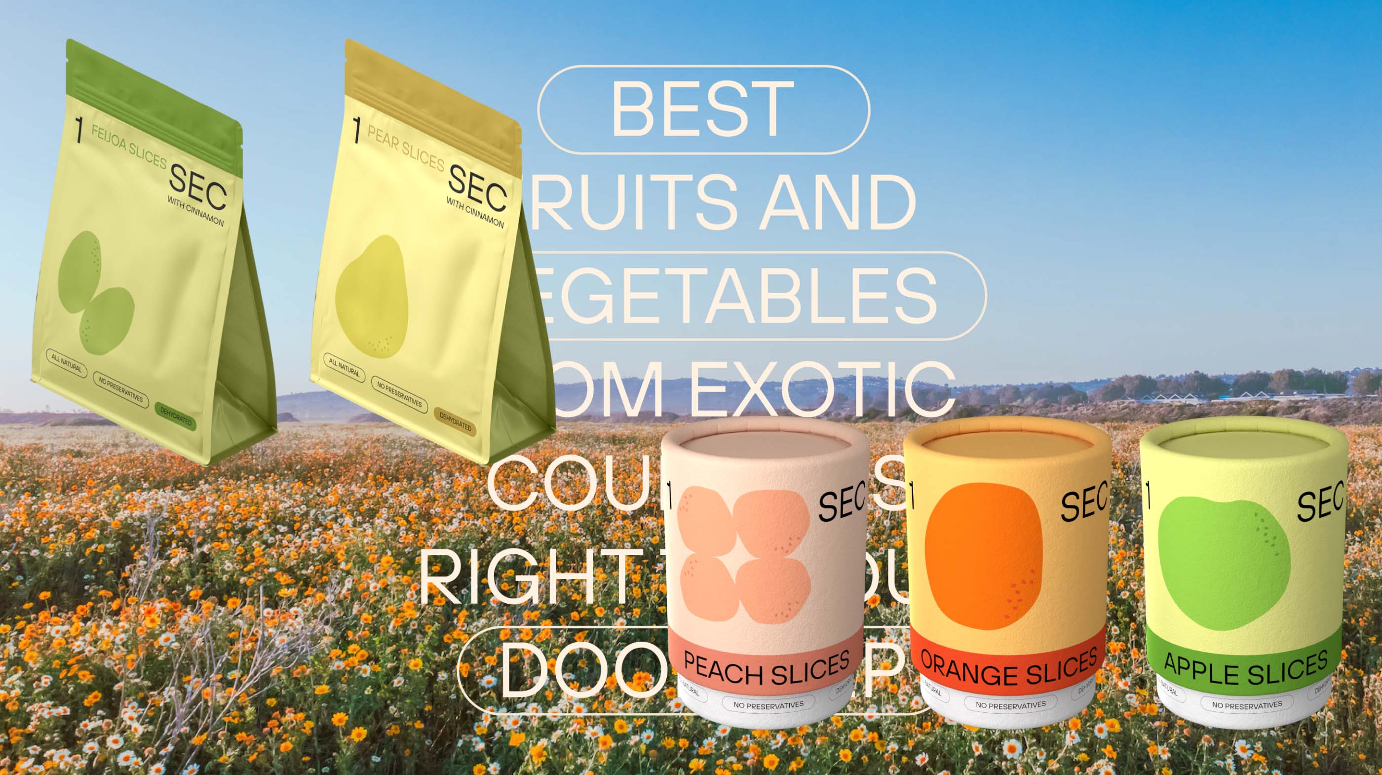 1SEC Launch Design | Klad Syndicate